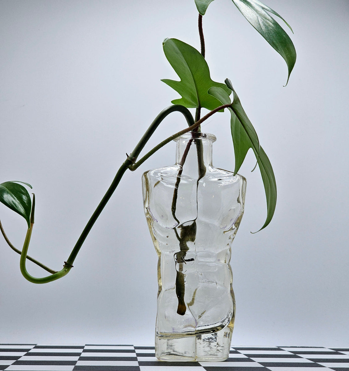 Vintex LUTEX Glass Male Figure Bottle/ Vase – Casa Yaya